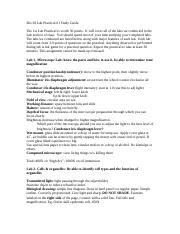 Bio Lab Practical Study Guides Bio Lab Practical Study Guide The St Lab