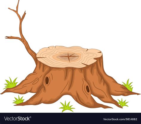 Root Of Tree Cartoon Royalty Free Vector Image