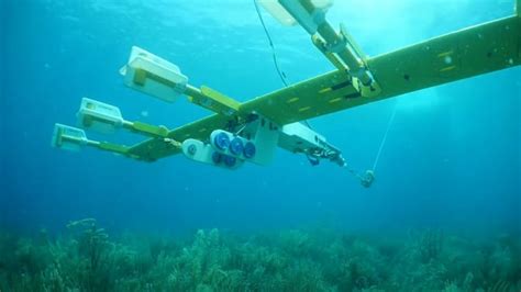 umma—the ultra marine magnetometer array aqua survey inc