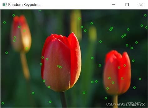 Opencv快速入门：特征点检测与匹配 Opencv特征点检测与匹配 Csdn博客