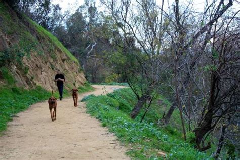 Hiking In Los Angeles 11 Beautiful Trails To Explore The Scenic Scenes Of The City Imp World