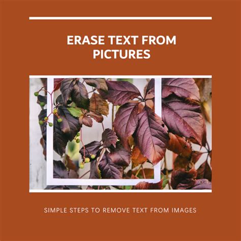 How To Delete Text From Pictures