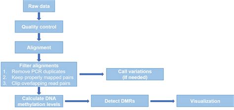 GitHub Bio Protocol BS Seq Analysis