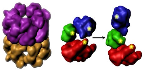 Single Molecule Protein Dynamics The Haran Group