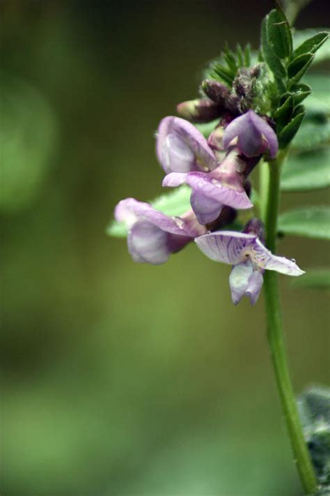 Summer By Tinkerbell A On Deviantart