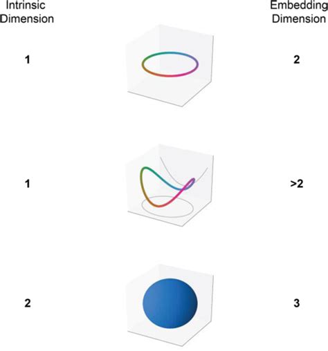 Interpreting Neural Computations By Examining Intrinsic And Embedding Dimensionality Of Neural