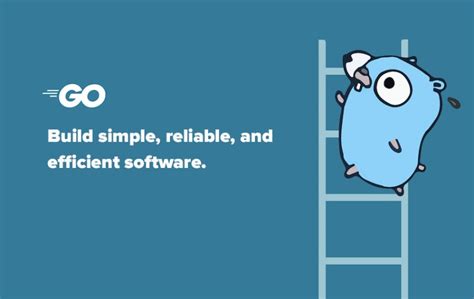 Golang Roadmap For Developers A Complete Guide To Go Development In 2025