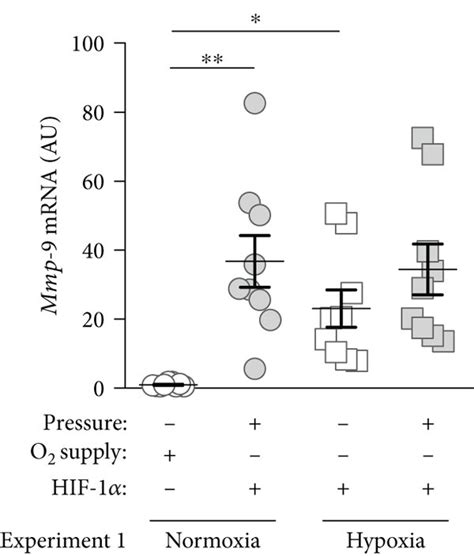 A Mmp 9 Gene Expression Under Normoxic Or Hypoxic Cell Culture Download Scientific Diagram