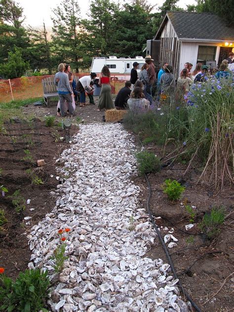 Oyster Shells In The Garden Garden Mulch Home Garden Design Shade