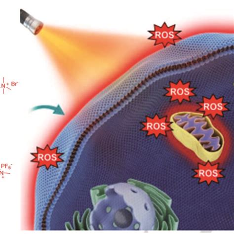 Chemical Structures Of Three Aiegens Tfpy Tfvp And Tpe Tfpy Download Scientific Diagram
