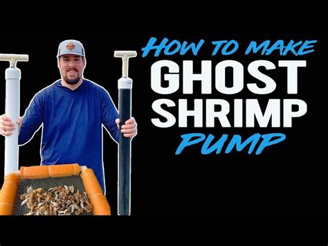 Ghost Shrimp Pump