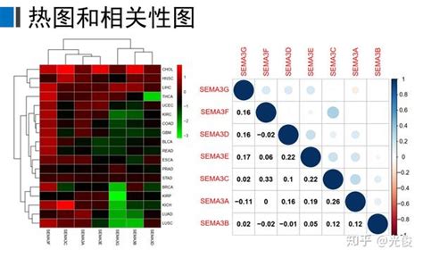 泛癌基因家族分析 泛癌多基因的药物敏感性分析 知乎