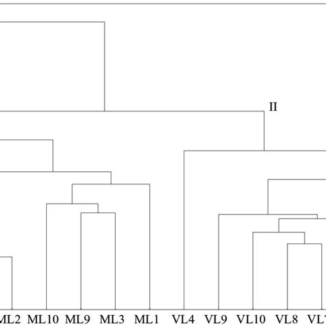 Dendrogram Resulting From Hierarchical Cluster Analysis With Formation