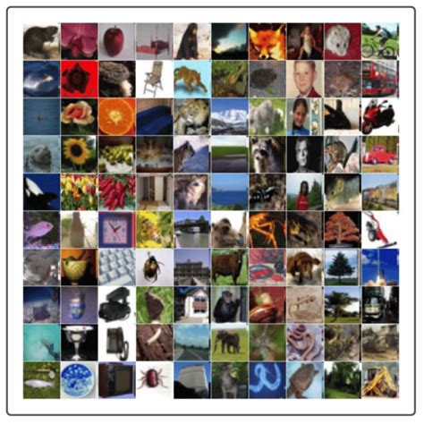 4 Provides A Brief Overview Of All 100 Classes In This Dataset