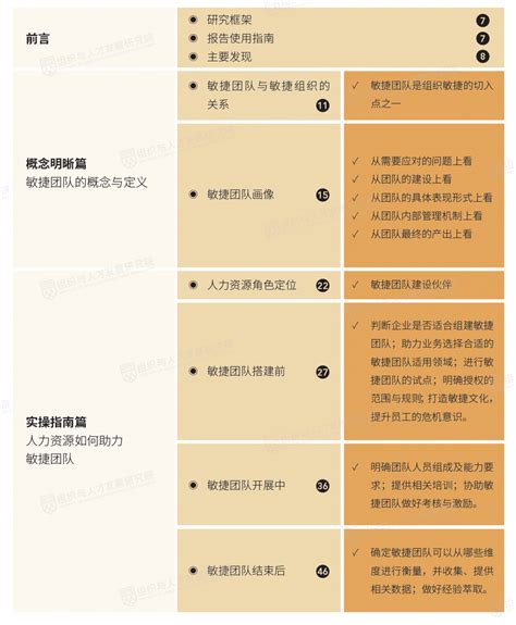 解码敏捷团队报告 企业架构学习网