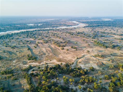 Chikoko Tree Camp Holiday Accommodation In Zambia Africa Wildlife Worldwide