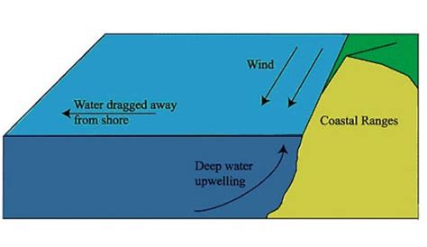 The Science Of Upwelling How The Ocean Surface Randomly Cools Off
