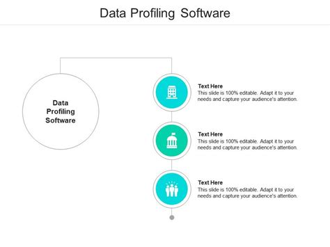 Data Profiling Software Ppt Powerpoint Presentation Slides Display Cpb Presentation Graphics