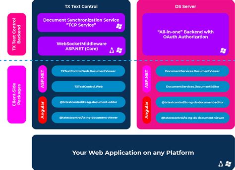 DS Server Or TX Text Control Different Deployment Scenarios
