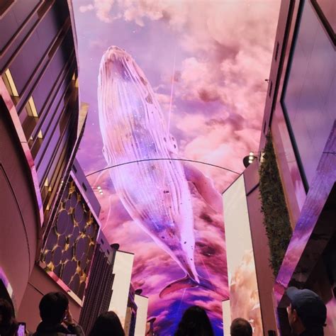 영종도 인스파이어 리조트 아기랑 고래 아레나 로툰다 장소 스플래시베이 이용꿀팁 네이버 블로그