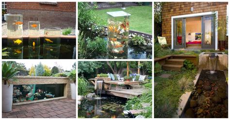10 Fish Pond Designs That Will Fascinate You