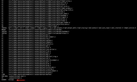 Running EBPF Programs On Docker Containers