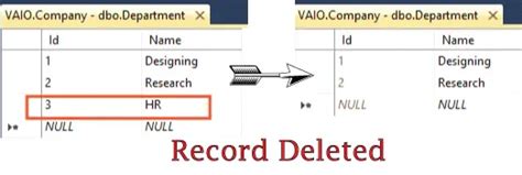 Delete Records In Entity Framework Core
