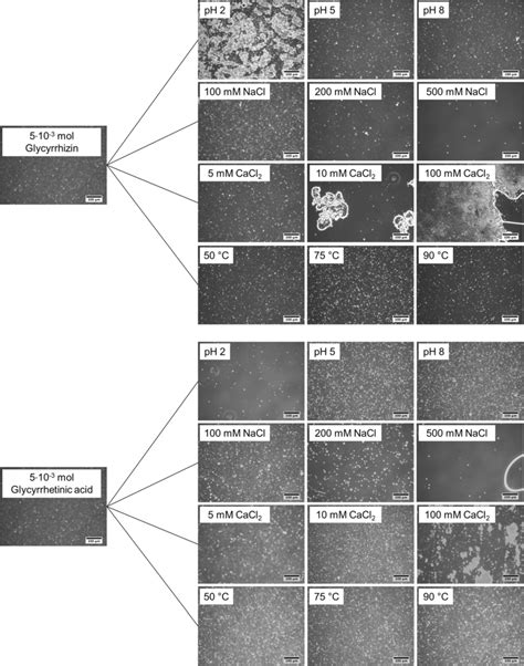Influence Of Ionic Strength Nacl Cacl2 On A ζ Potential As Well