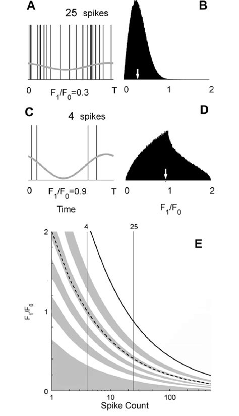 Modelling The Affect Of Spike Count On Response Modulation In An Ideal