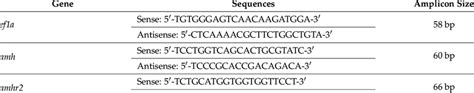 Specific Primers Used For Real Time Quantitative Polymerase Chain
