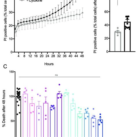 Robert Huizinga Adjunct Professor Phd Rn Mscepi Cnephc Leder School Of Business