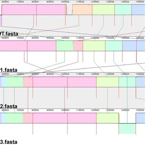 The Progressive Mauve Genome Alignment Of S Agalactiae Strains
