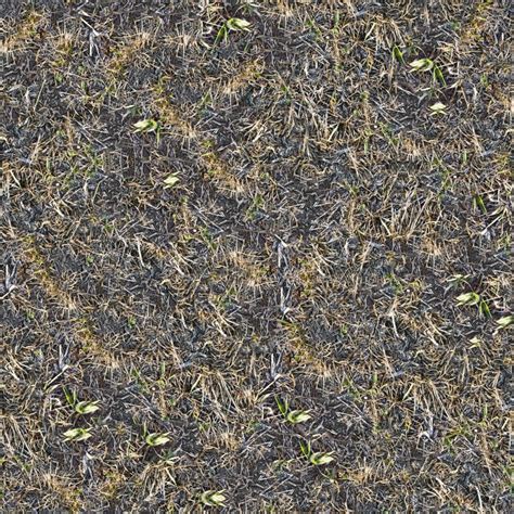 Seamless Tileable Natural Ground Field Texture Stock Image Image Of