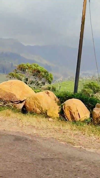 තේ වතු මැදින් 😯 Youtube