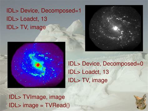 PPT Coyotes Guide To IDL Programming PowerPoint Presentation Free Download ID 6894618