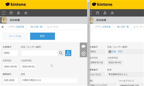 プラグインでkintoneのお悩みを解決！ 標準では重複禁止にできないフィールドに重複禁止チェックをしたい