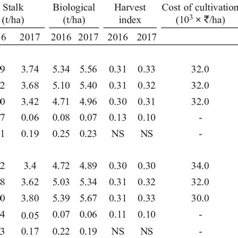 Effect Of Date Of Sowing And Plant Spacing On Yield And Economics Of