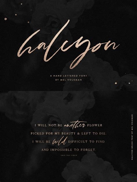 Hand Lettered Brush Script Font Brush Script Fonts Lettering Fonts Hand Lettering