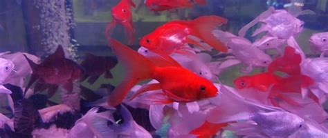 Iso 9001 2015 标准详解与实施（32）8 5 3 顾客或外部供方的财产 Cn Sec 中文网