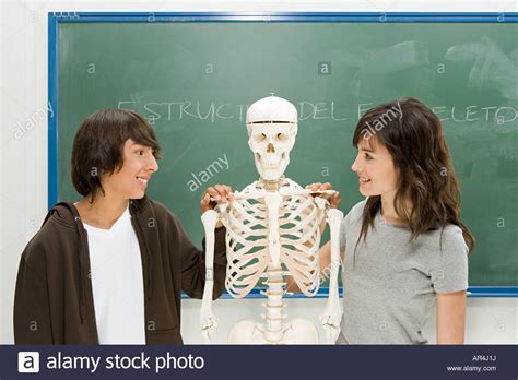 Female Skeleton Stock Photos Female Skeleton Stock Images Alamy