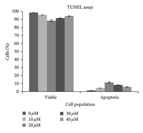 A B Tunel Assay Was Used To Detect Dna Fragmentation A Small