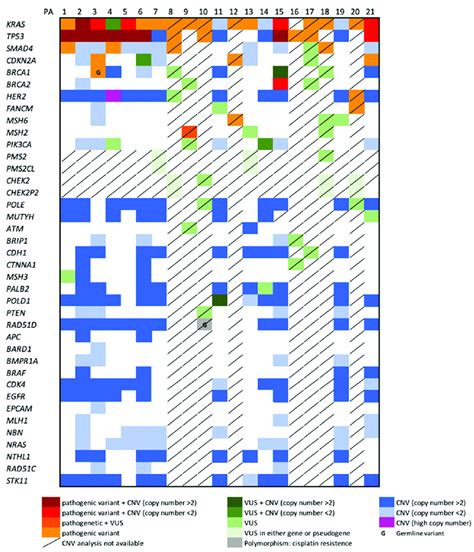 Mutational Landscape Of Investigated Genes The Panel Shows Single