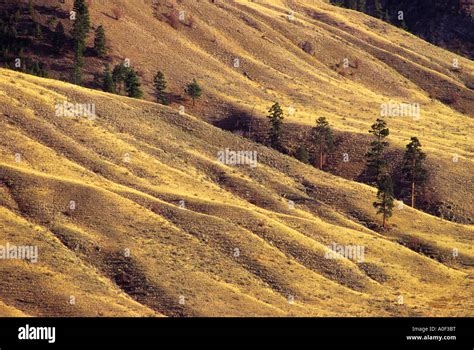 Canada British Columbia Southern Interior Water Eroded Hillside
