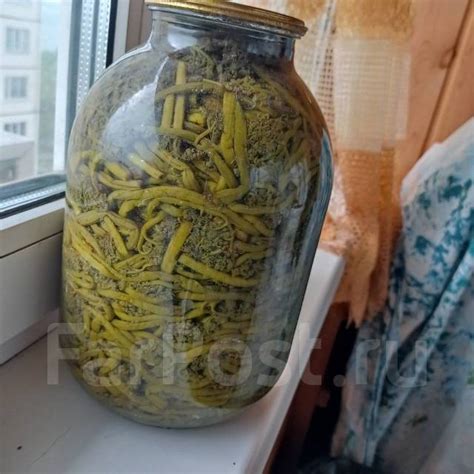Папоротник соленый, в наличии. Цена: 800₽ во Владивостоке