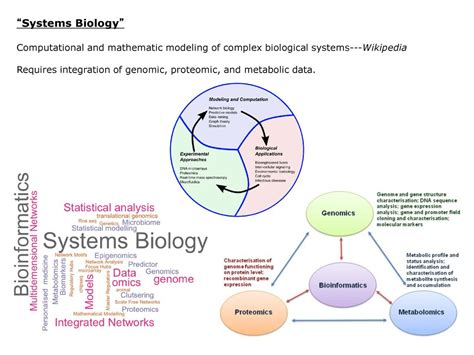 Todays Lecture Topics Ppt Download