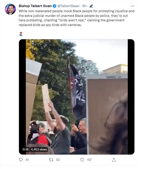 Talbert Swan Being A Moron As Usual R Birdsarentreal