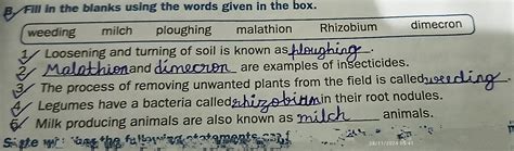 B Fill In The Blanks Using The Words Given In The Boxweedingmilchplo