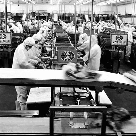 Ghost Policy Workers Comp Imaginative Minds