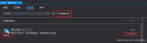 nuget发布非正式版本 预览版本 nuget 测试版本发布 csdn博客
