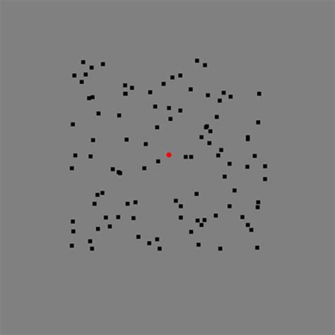 View Of The Visual Stimulus For Both Configurations In Both